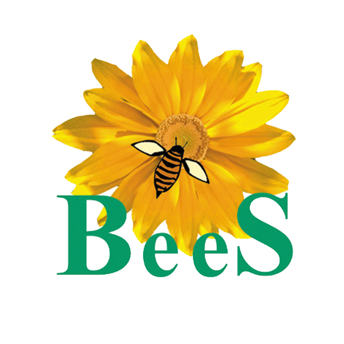 BeeS Evaluation